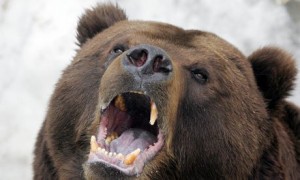 Whelp, there it is: 15 Signs of False Humility